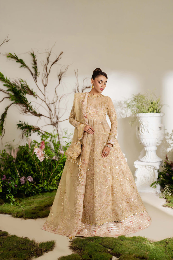 Festive Collection | Women Formal Dresses | Shop Online – Zoya & Fatima